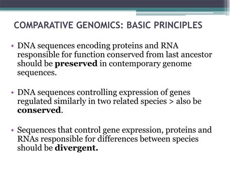 PPT Comparative Genomics PowerPoint Presentation Free Download ID