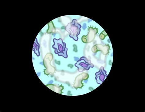 Nudity S Seriously Forbidden Why