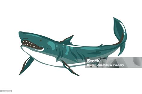 손으로 그린 벡터 추상 스톡 플랫 그래픽 일러스트와 수중 수영 상어 드로잉 은 흰색 색상 배경에 고립 공격성에 대한 스톡 벡터 아트 및 기타 이미지 Istock