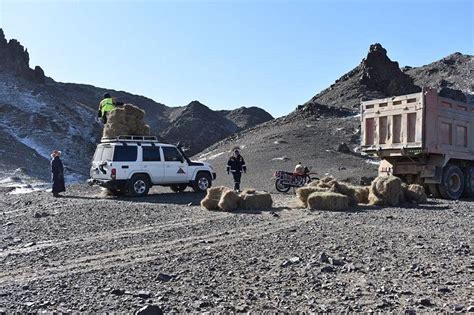 Биотехникийн арга хэмжээ авч хэрэгжүүллээ