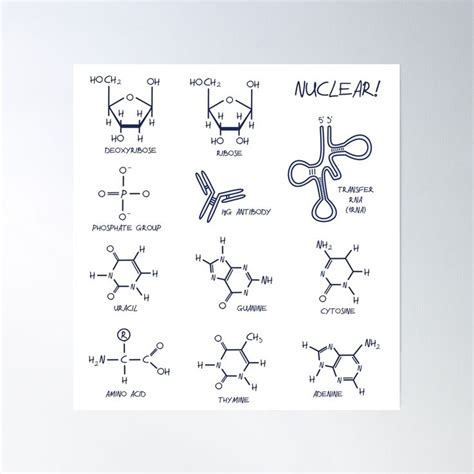 Nucleic Acid And Protein Structures Poster For Sale By Squidego In 2025 Nucleic Acid Sale