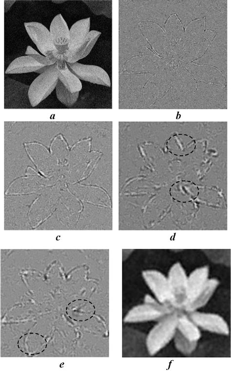 Figure 2 From Sar Image Noise Suppression Of Bemd By The Kernel Principle Component Analysis