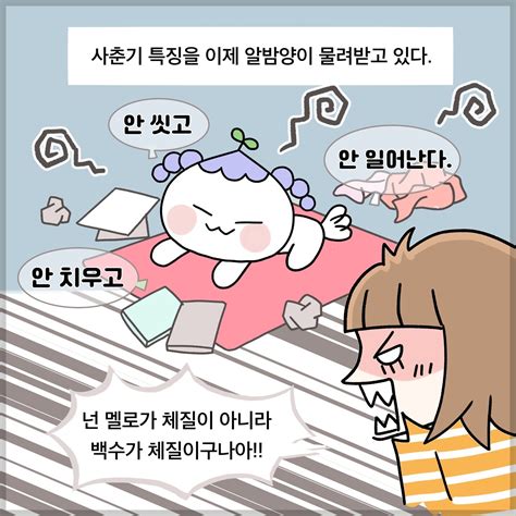 사춘기의 특징