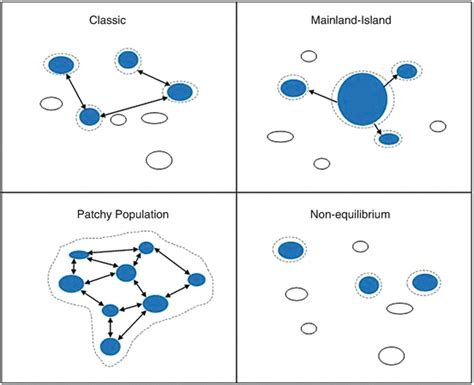 Metapopulation Dynamics Of Wetland Species Springerlink