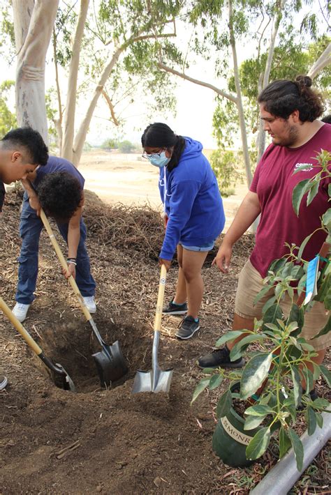Tree Planting Party Teaches Babes The Art Of Gardening The Bulletin