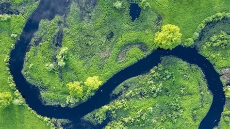 Leveraging Ai For Complex And Dynamic Bng Habitats Aidash Bngai™