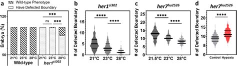 Embryotoxic Chemicals Worsen Segmentation Defects A B Number Of Download Scientific Diagram