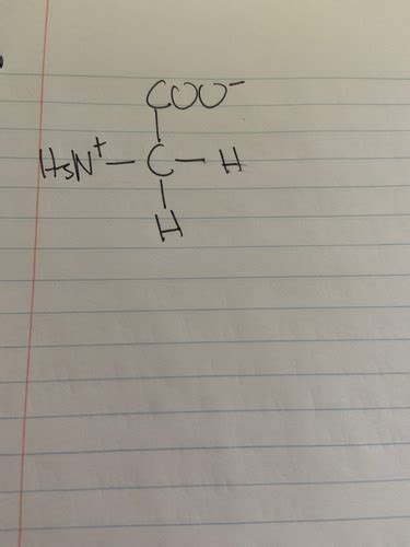Amino Acids Flashcards Quizlet