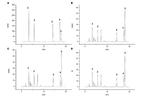 High Performance Liquid Chromatography Chromatogram Of The Standard
