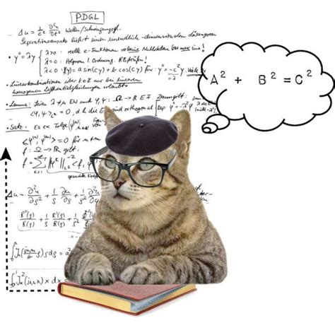 Chat Math Classes