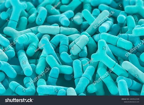 Blue Bifidobacterium Lactobacillus Microbiome Under Microscope Stock Illustration 2287612199