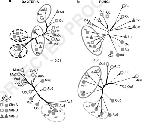 Seasonal Variations Of Bacterial And Fungal Communities Assessed By Download Scientific Diagram