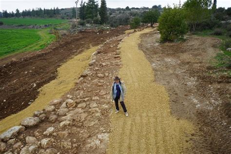 Ancient Roman Road Unearthed In Israel Archaeofeed