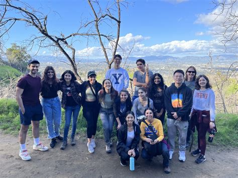 Gallery Multisensory Processing Lab