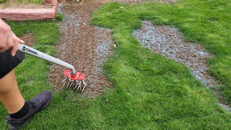 Reseeding Some Bare Spots Diy Lawn Guy Youtube