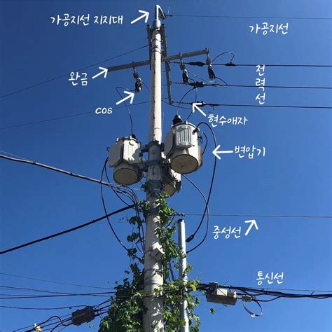 폐허에 있는 서희 강님의 핀 전봇대 배경 거리 그림