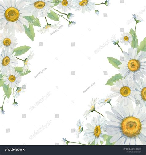 Daisy Corner Border Image Over 3 029 Royalty Free Licensable Stock Illustrations And Drawings