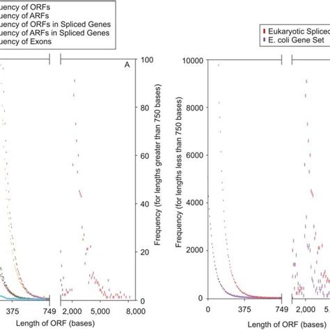 The ORF Lengths In All Six RFs In A Computer Generated Random DNA Download Scientific Diagram