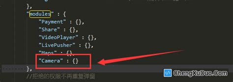 ios自定义基座真机调试下打开相册报错html runtime 打包时未添加Camera模块 程序多