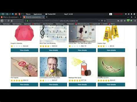 Blind Os Command Injection Portswigger Lab