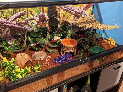 Snake Tank Large