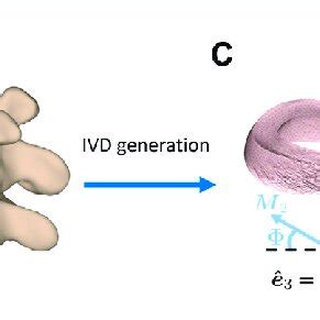 Finite Element Model Generation Of Lumbar Spine Segments A CT Images Download Scientific