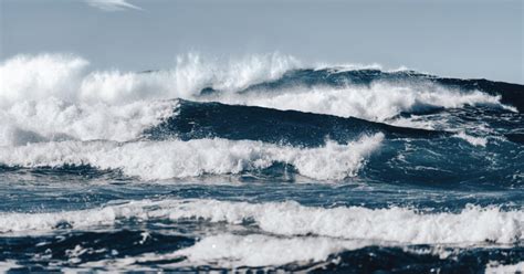 ‘sex Raft Expedition Proved That Power Hungry Men See Public As Willing Dupes Kansans Know