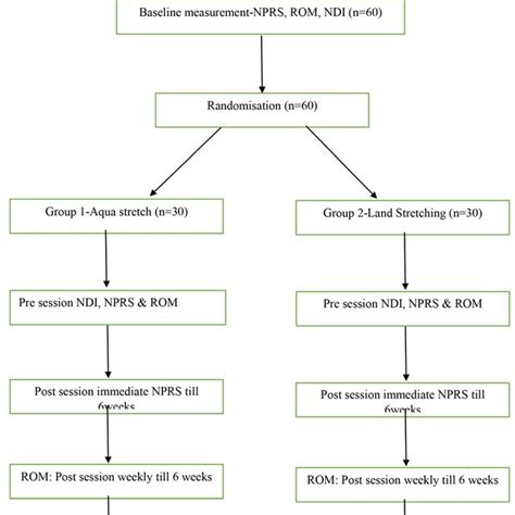 Randomization And Allocation Chart Download Scientific Diagram