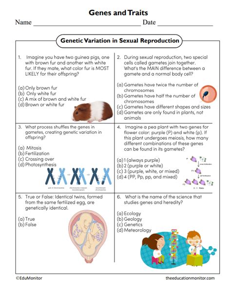 Genetic Variation In Sexual Reproduction Science Worksheet Edumonitor