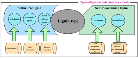 Polymers Free Full Text Research Progress And Prospect Of Stimuli Responsive Lignin