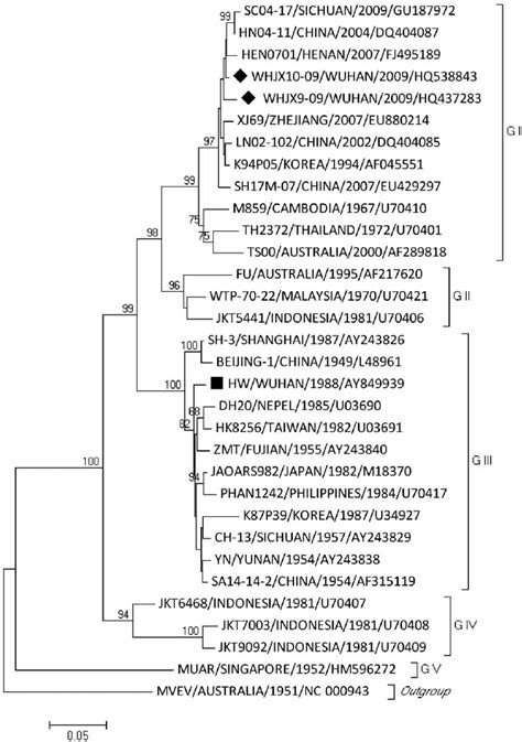 Phylogenetic Tree Based On The Full E Gene Of The Representative Jev Download Scientific