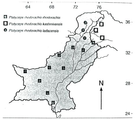 Historic Distribution Of Cliff Racer Platyceps Rhodorachis In Download Scientific Diagram