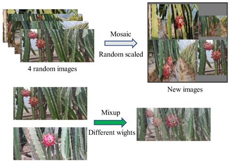 Agronomy Mdpi On Linkedin Highlycitedpaper