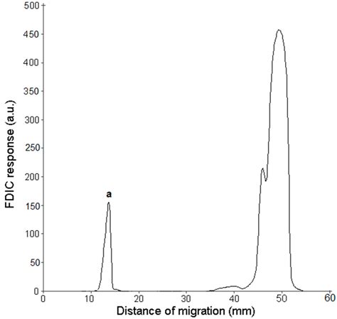 Separations Special Issue New Trends In Thin Layer Chromatography