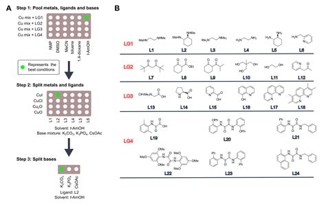 Supercharging Reaction Optimisation With Pool And Split Bioascent Integrated Drug