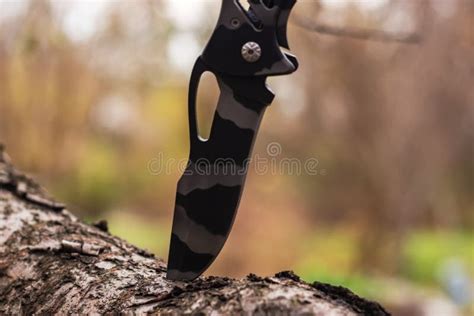 Tactical Knife Stuck In A Tree Stump In A Forest Stock Image Image Of Blade Stuck 300064765