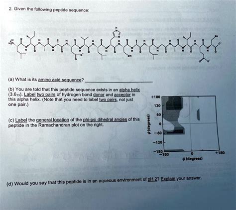solved 2 given the following peptide sequence a what is its amino