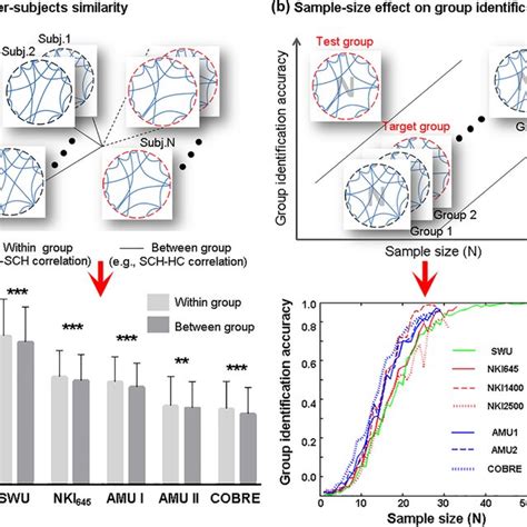 Intersubject Group Similarity Of The Functional Connectome A