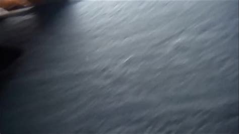 Bali Sex Xxx Videos Free Porn Videos