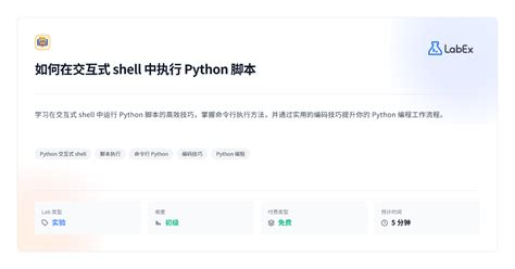 如何在交互式 shell 中执行 python 脚本 labex