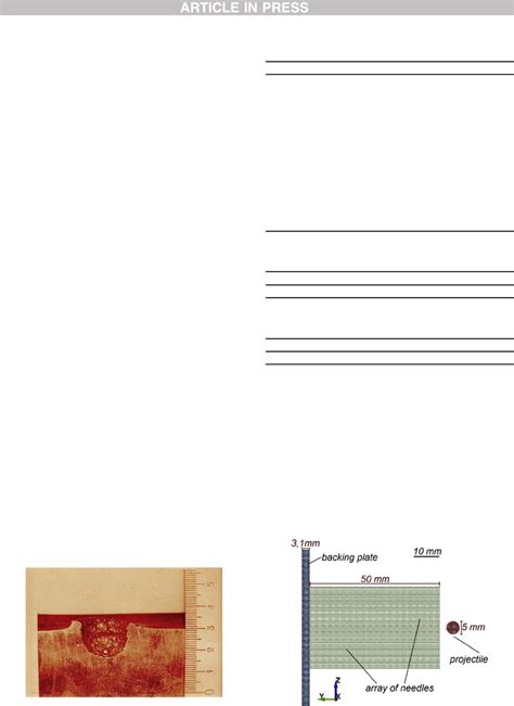 Cross Section Of The Model Download Scientific Diagram