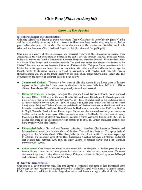 Chir Pine Characteristics And Uses Pdf Trees Plant Nursery