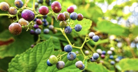 [포토친구] 가을이 다가오는 느낌