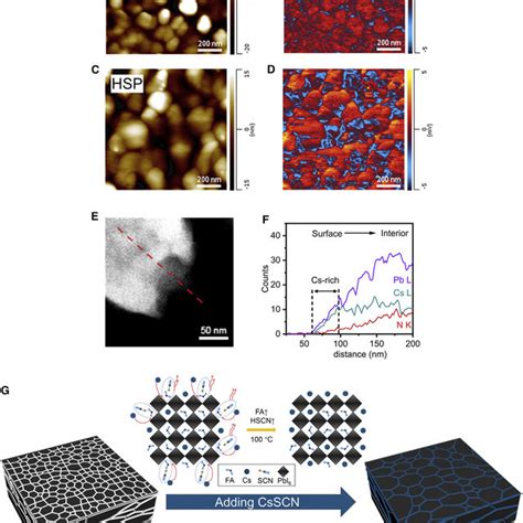 DFT Simulations A And B Structure Configurations Used In DFT Download Scientific Diagram
