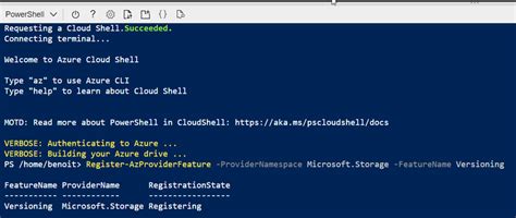 azure storage account blob versioning is available in preview