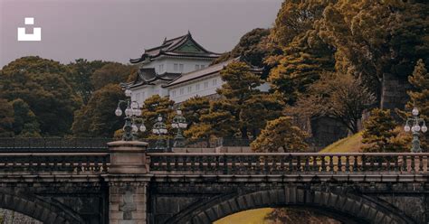 강 위의 흰색과 검은 색 콘크리트 다리 사진 Unsplash의 무료 건물 이미지