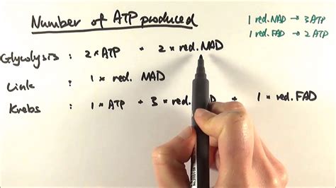Glucose Produces How Many Atp