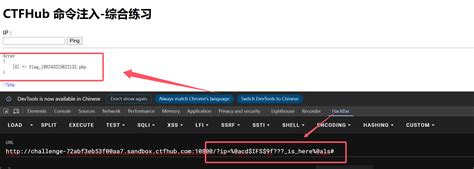 Ctfhub技能树 Web Rce 命令注入ctfhub技能树命令注入 Csdn博客