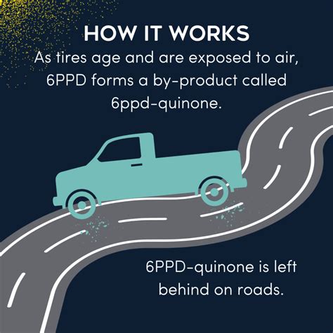 Tire Wear Toxin 6ppd Q Pacific Salmon Foundation