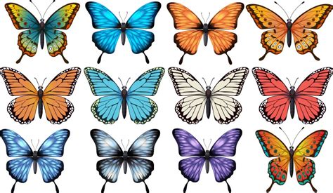 Assorted Vector Images Over 46000